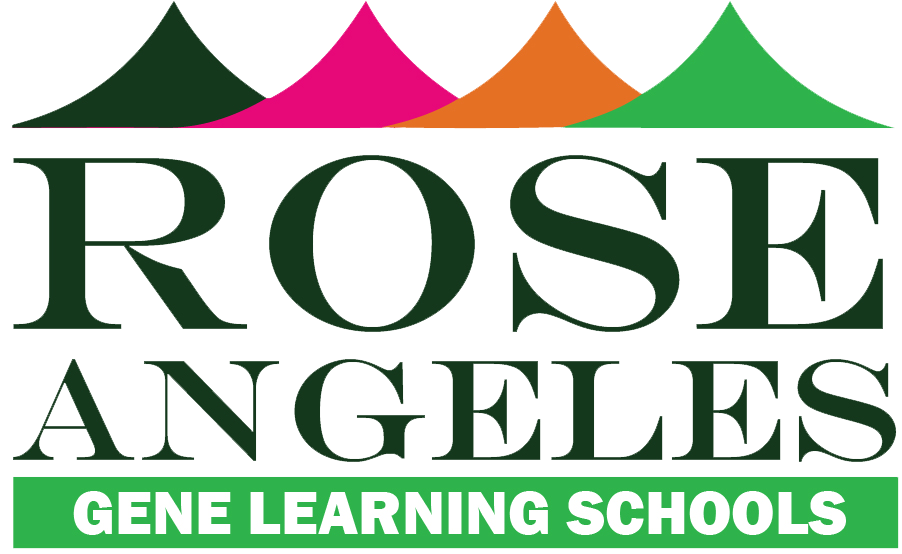 Rose Angeles Gene Learning School – Financial Literacy For Kids